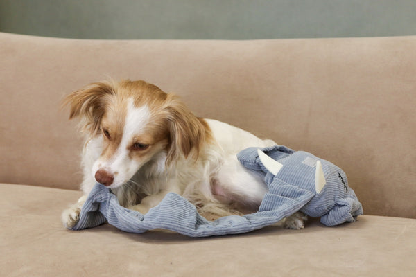 Injoya Trunk or Treat Snuffle Toy - Wooftown